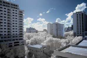 Prepare for Hormegeddon - Early To Rise