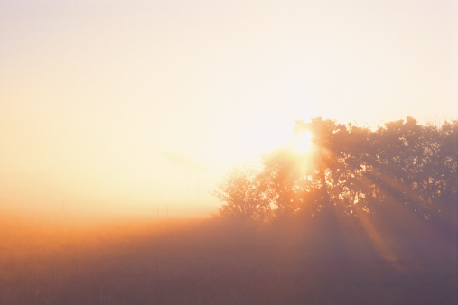 The Best Daily Routine Early To Rise