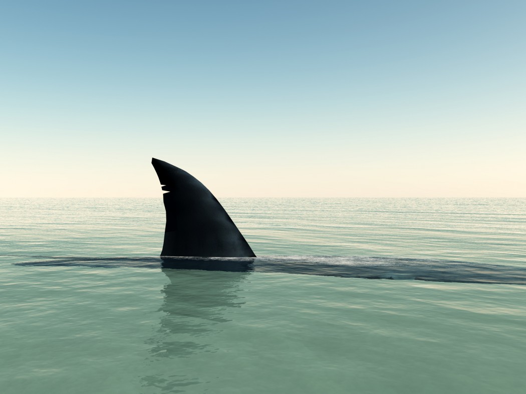 5 Secrets of a $450 Million Sales Shark - Early To Rise
