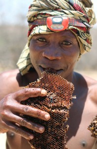 The Reasons You Crave Sugar. Part I: A Taste for Sweetness - Early To Rise