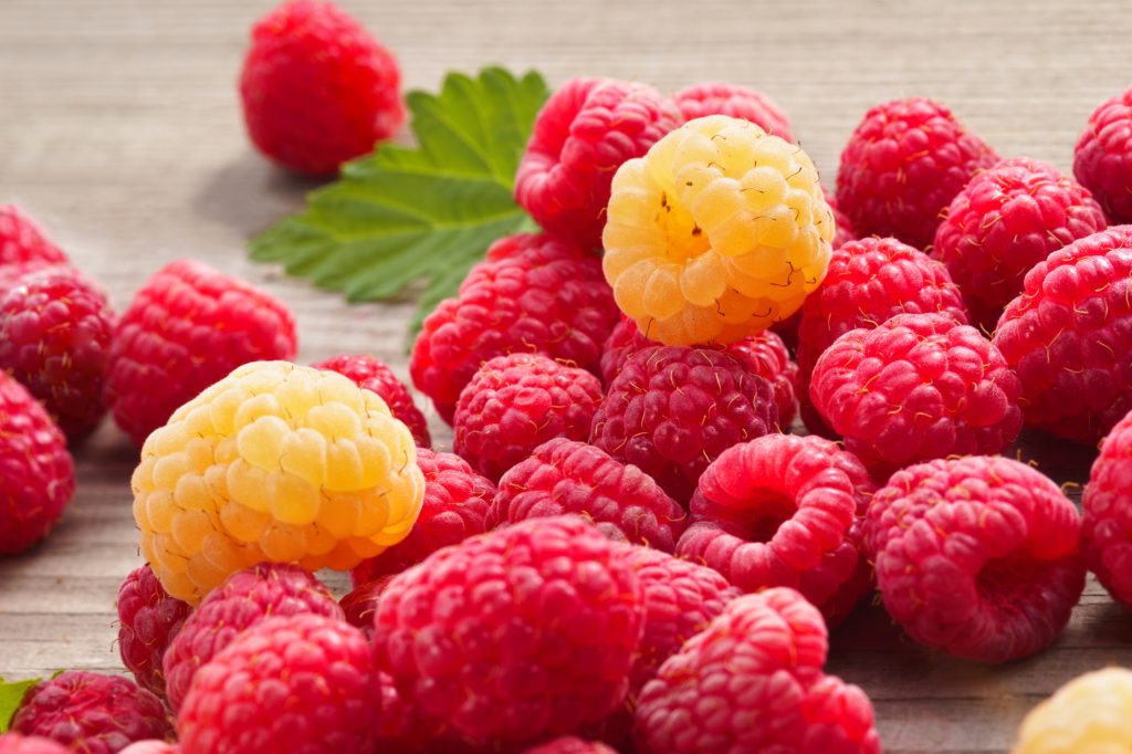 8 Secrets of Amazing Food Presentation - Early To Rise